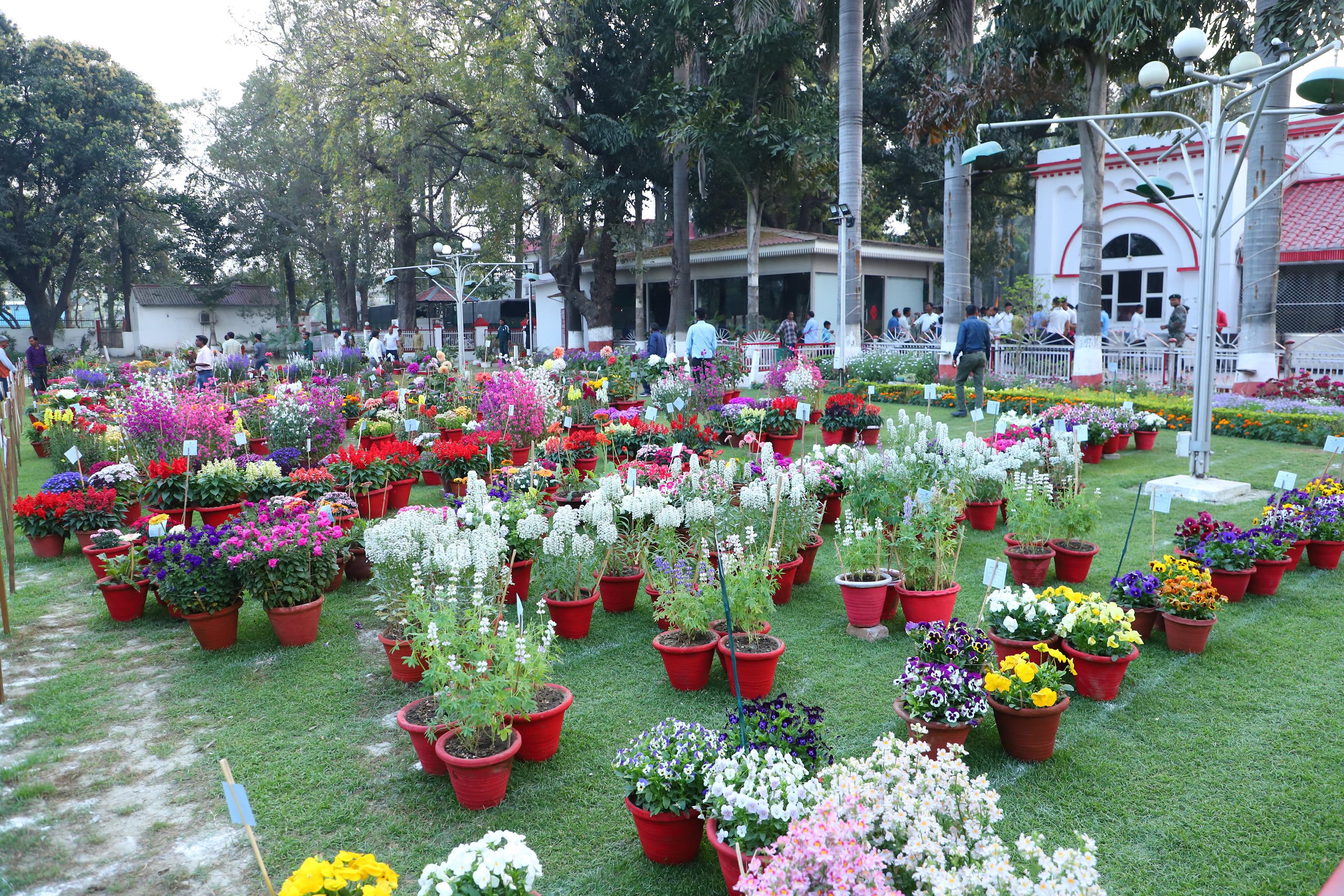 Bareilly Club Ltd. | Bareilly